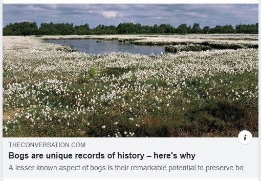 Ever wondered why bogs are so special? - IOAHC
