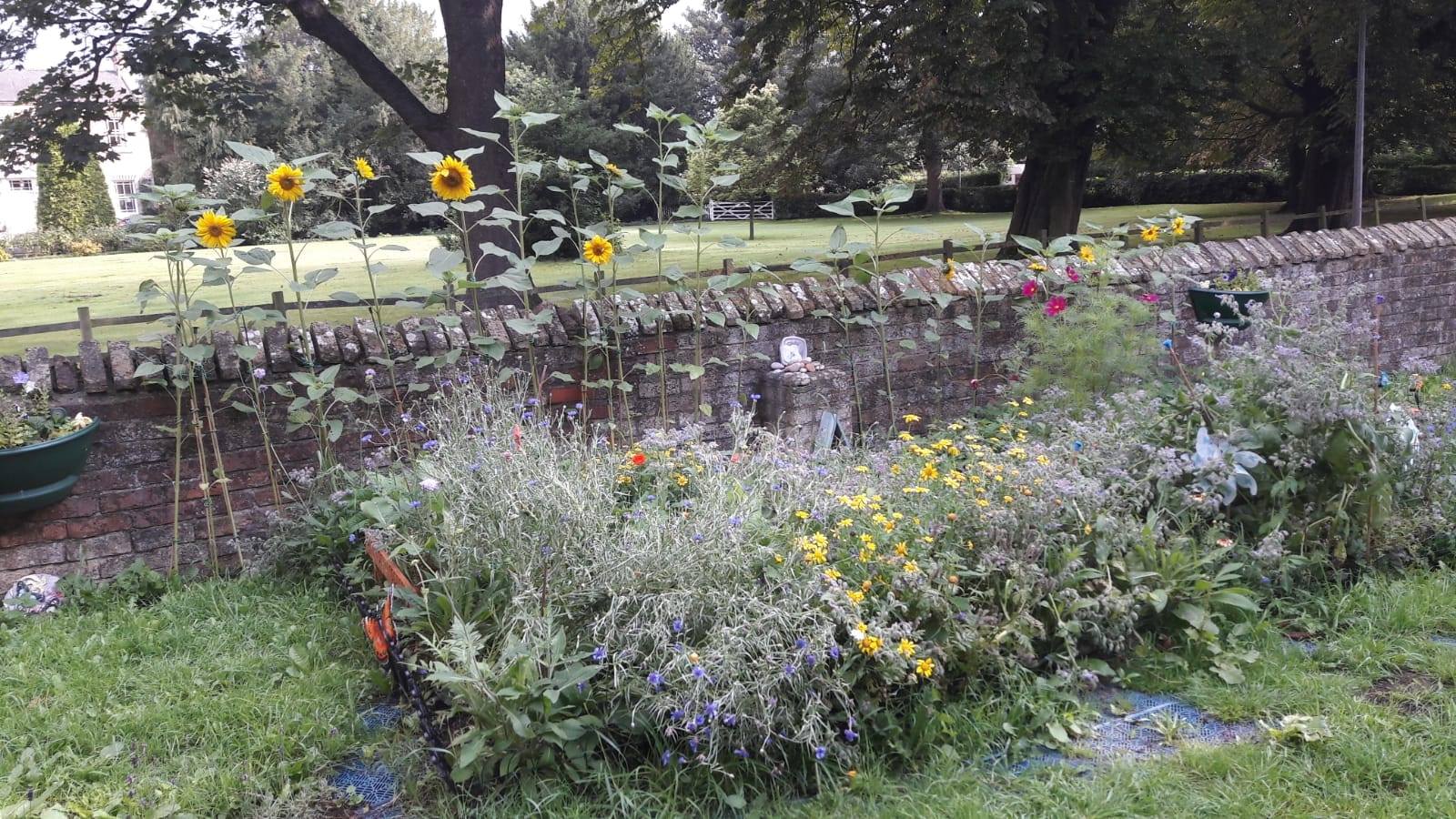 Amcotts Butterfly Garden - IOAHC